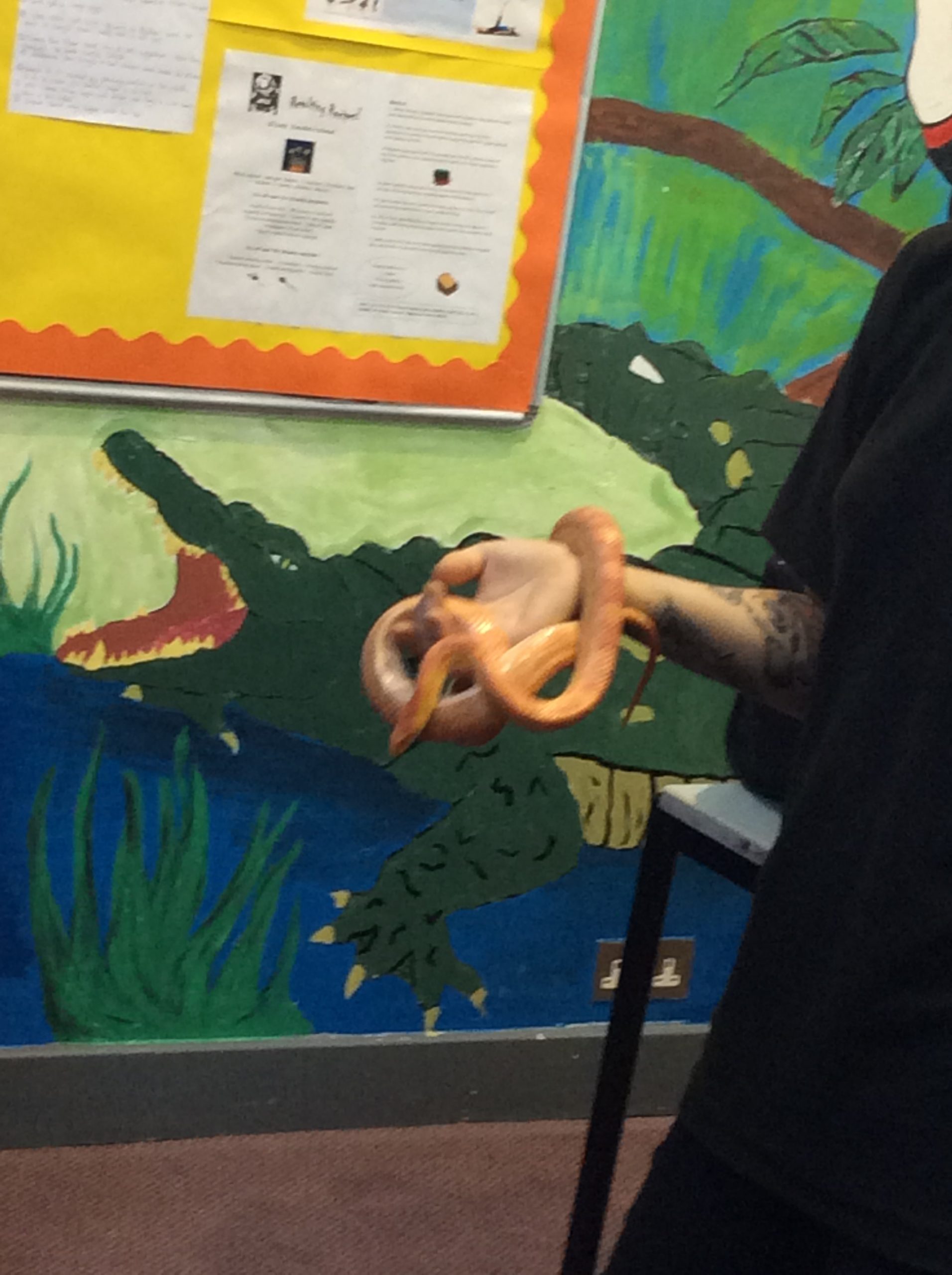 Hillside Secure Centre – Secure Children's Homes